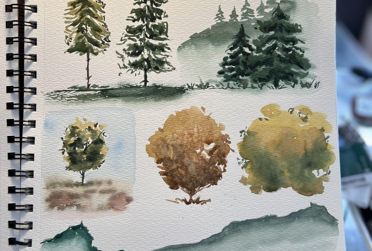 Trees and mountains | Skillshare Student Project