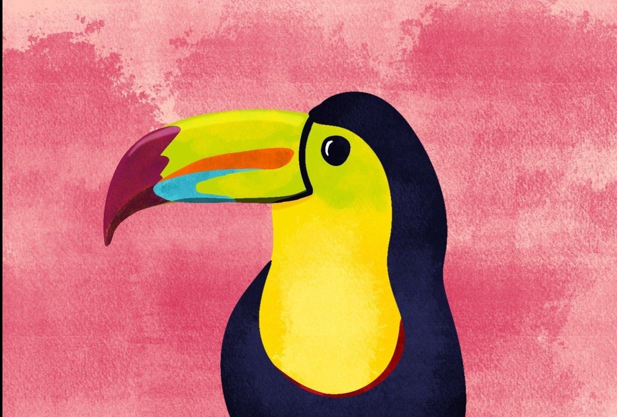 Tucan | Skillshare Student Project