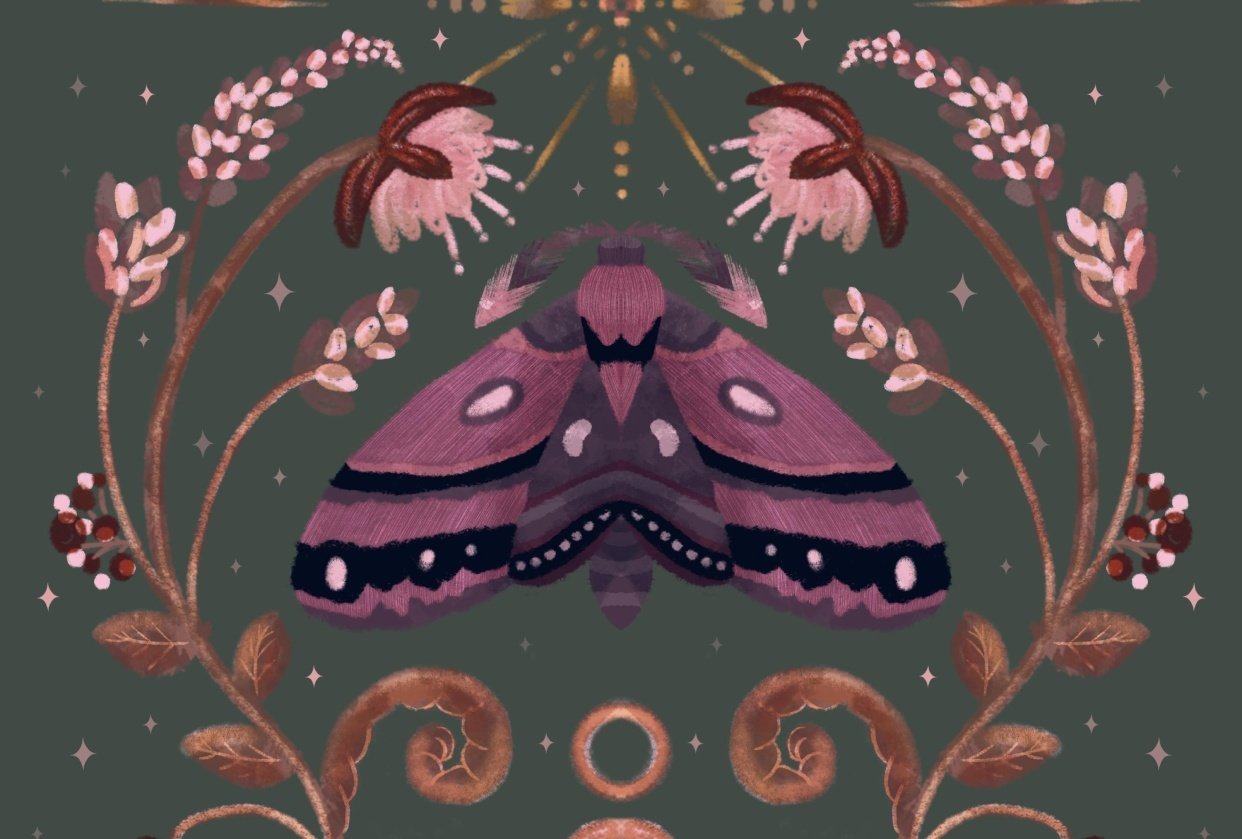 Lavender Moth | Skillshare Student Project