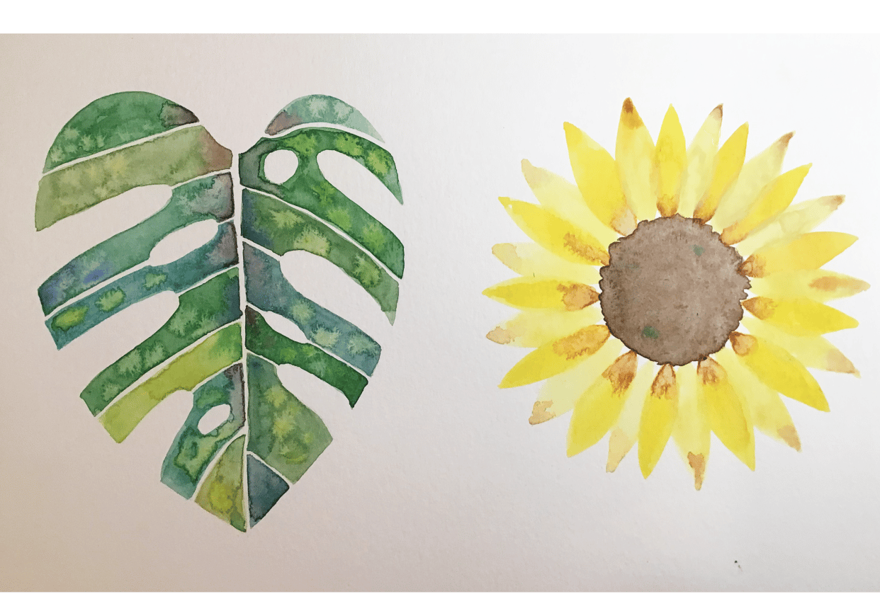Monstera Leaf and Sunflower | Skillshare Student Project