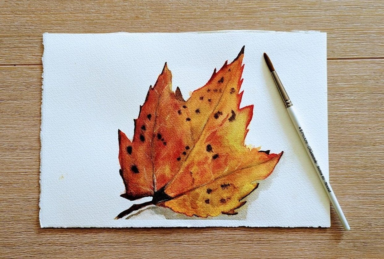 Autumn leaf watercolour | Skillshare Student Project