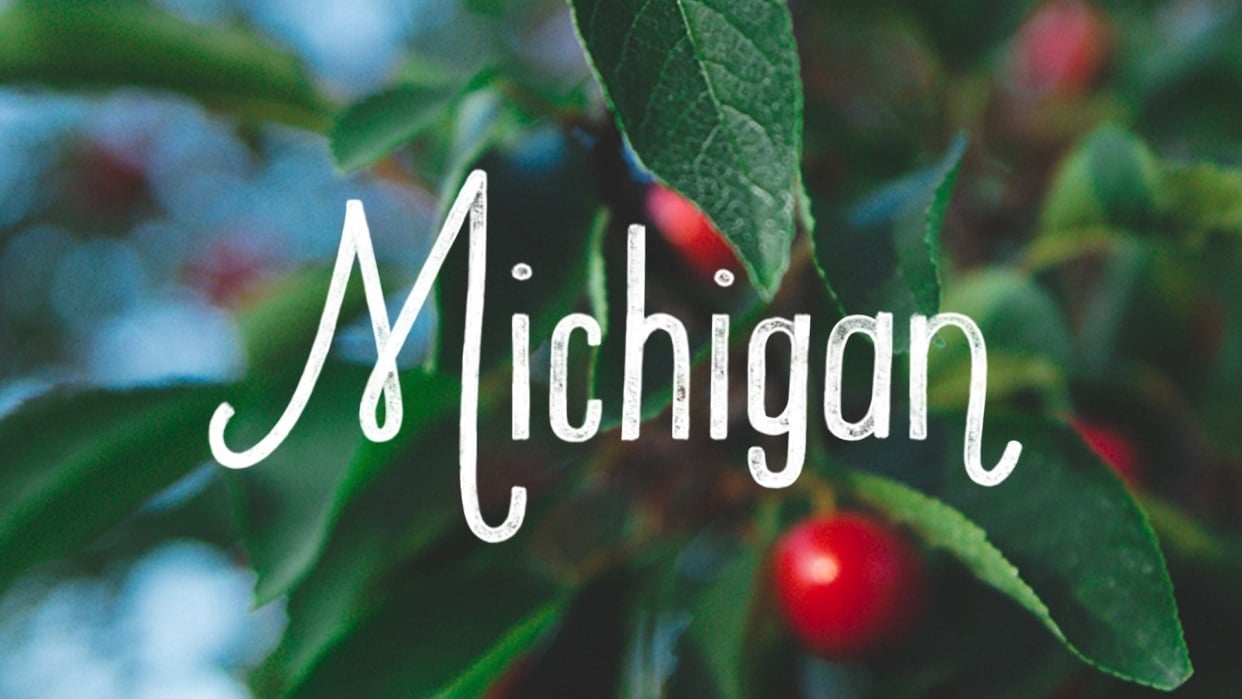 Michigan (SAMPLE PROJECT) | Skillshare Student Project