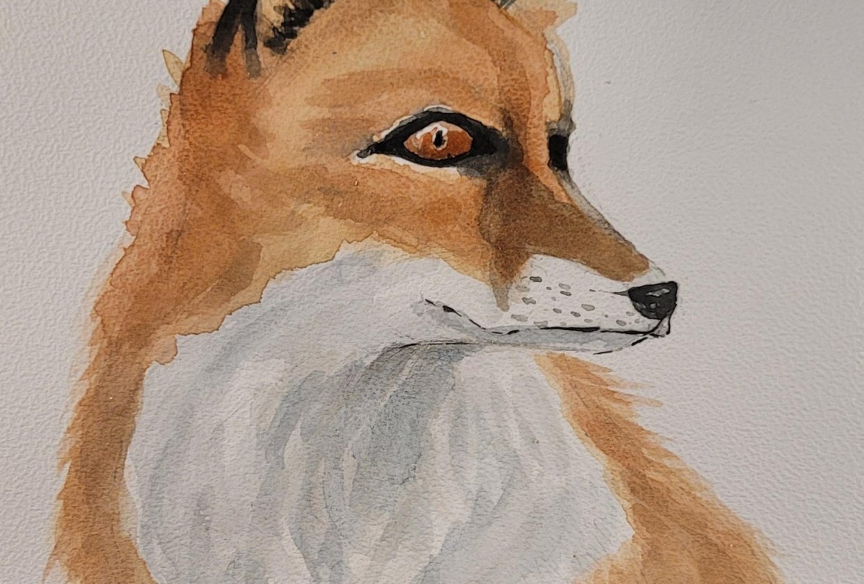 Watercolor fox :) | Skillshare Student Project
