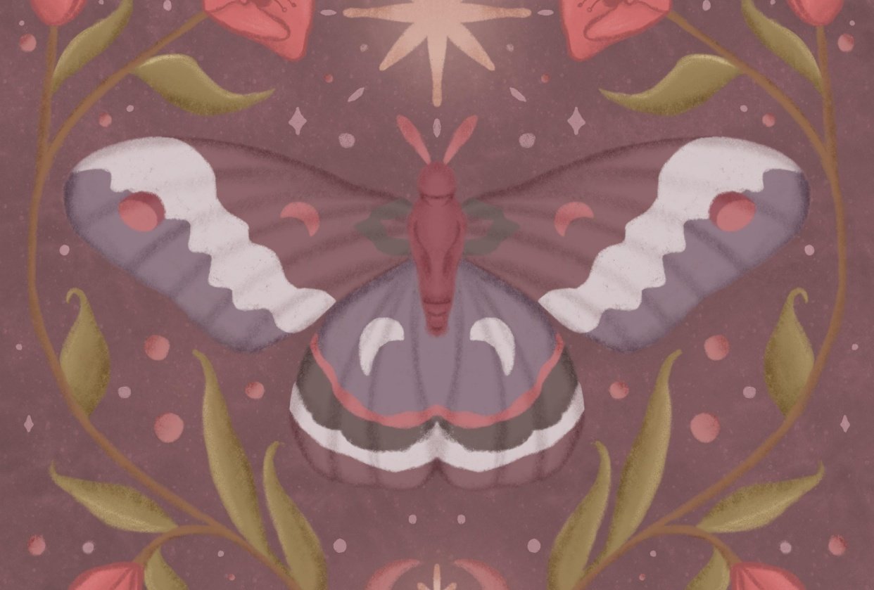 Poppies and moth | Skillshare Student Project