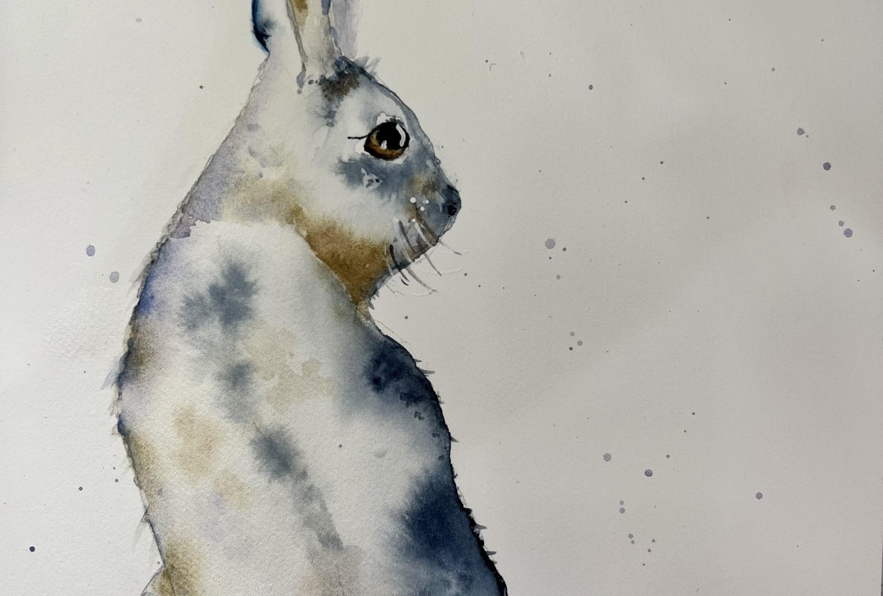 Beginner Hare | Skillshare Student Project