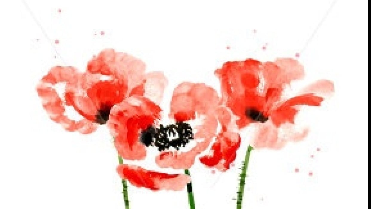 Wild Poppy Press | Skillshare Student Project