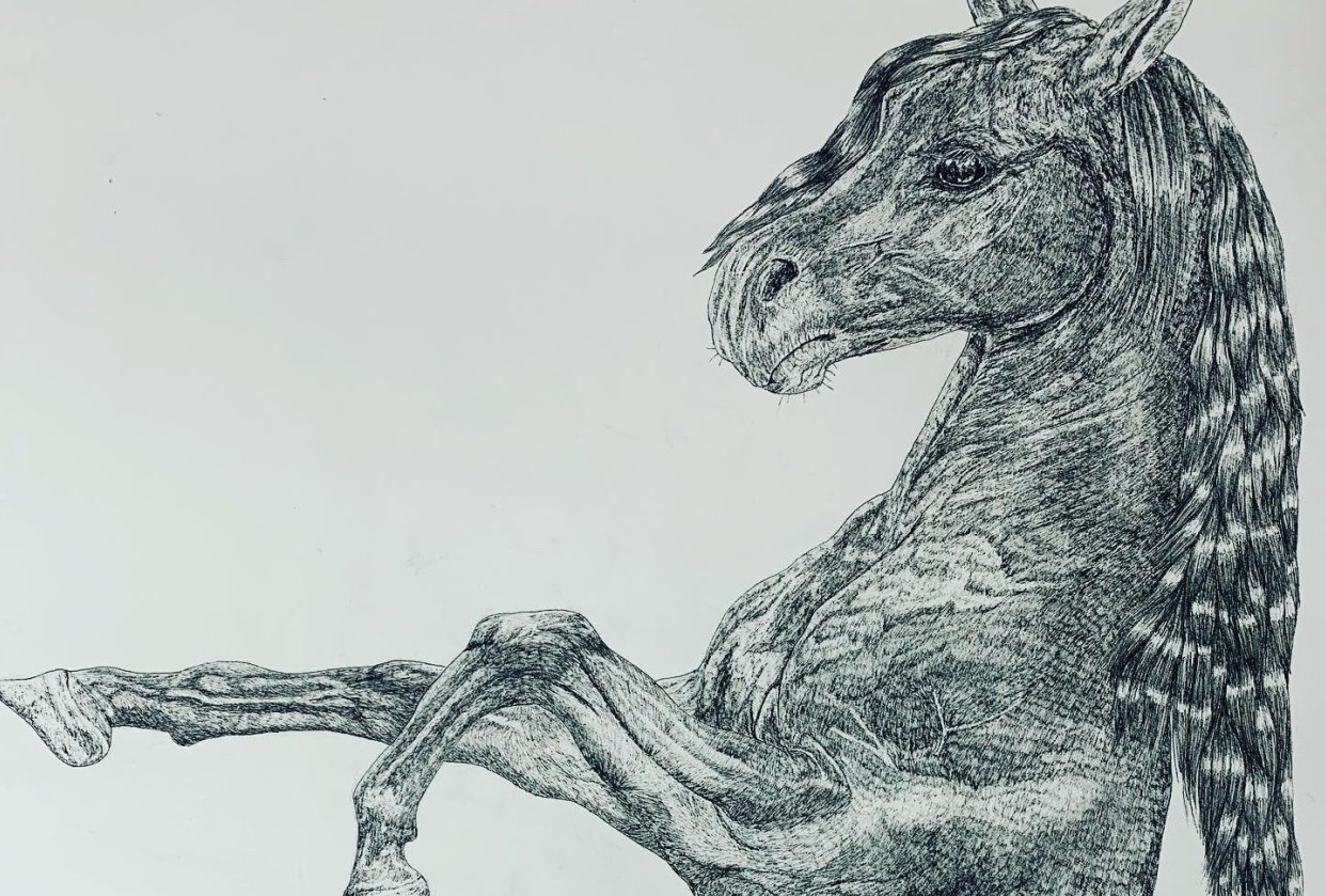Draw a horse's head with a whimsical mane in pen and ink | Skillshare ...