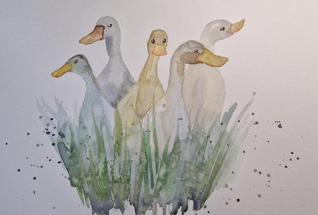 Watercolour Runner Ducks | Skillshare Student Project