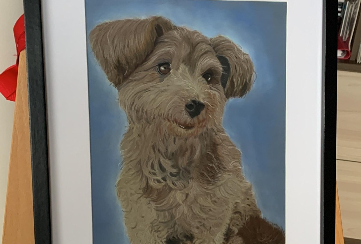 My first dog portrait | Skillshare Student Project