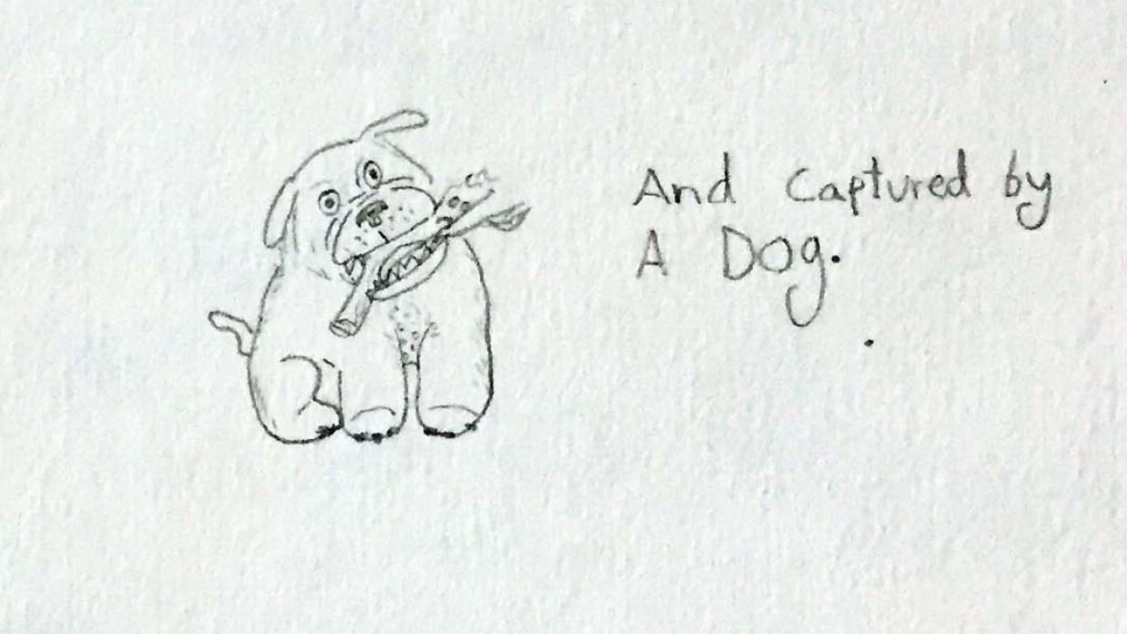 Fetch the Stick | Skillshare Student Project