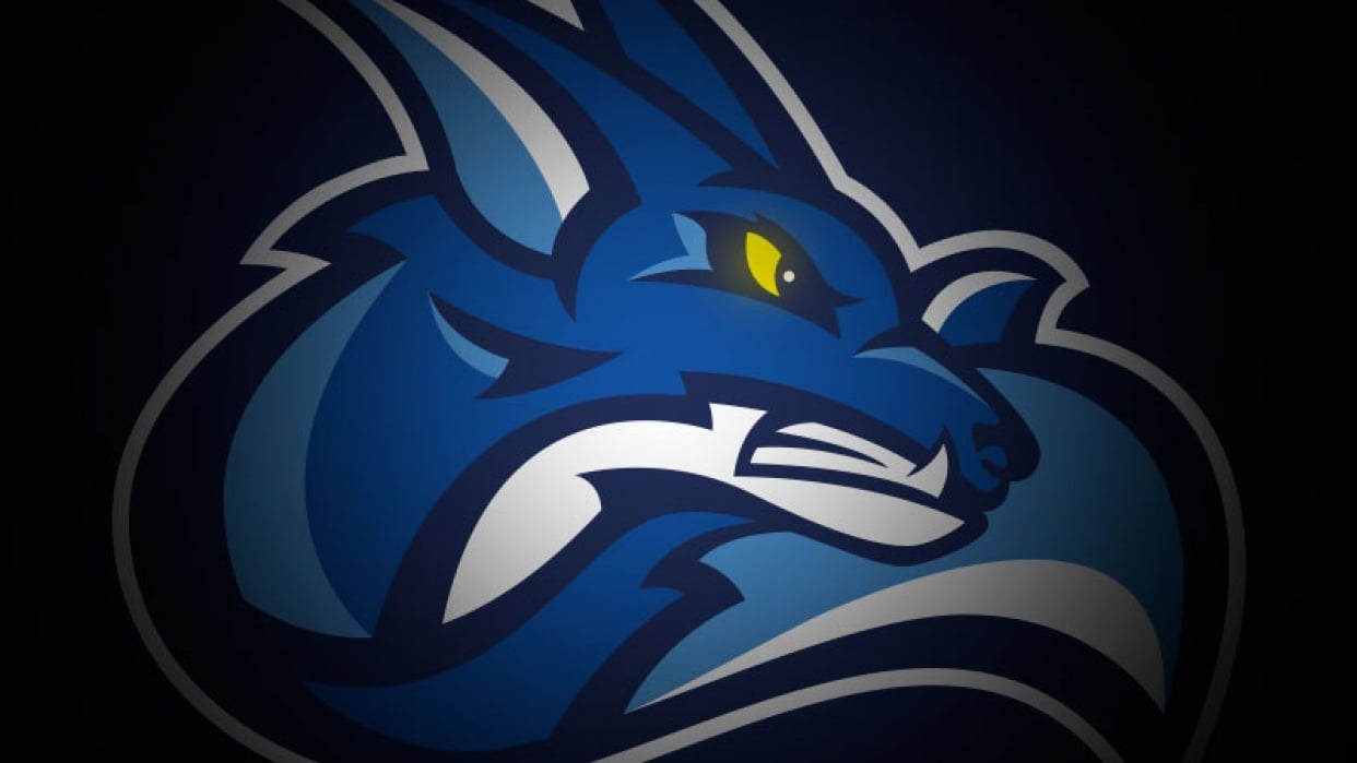 Blue Fox Logo | Skillshare Student Project