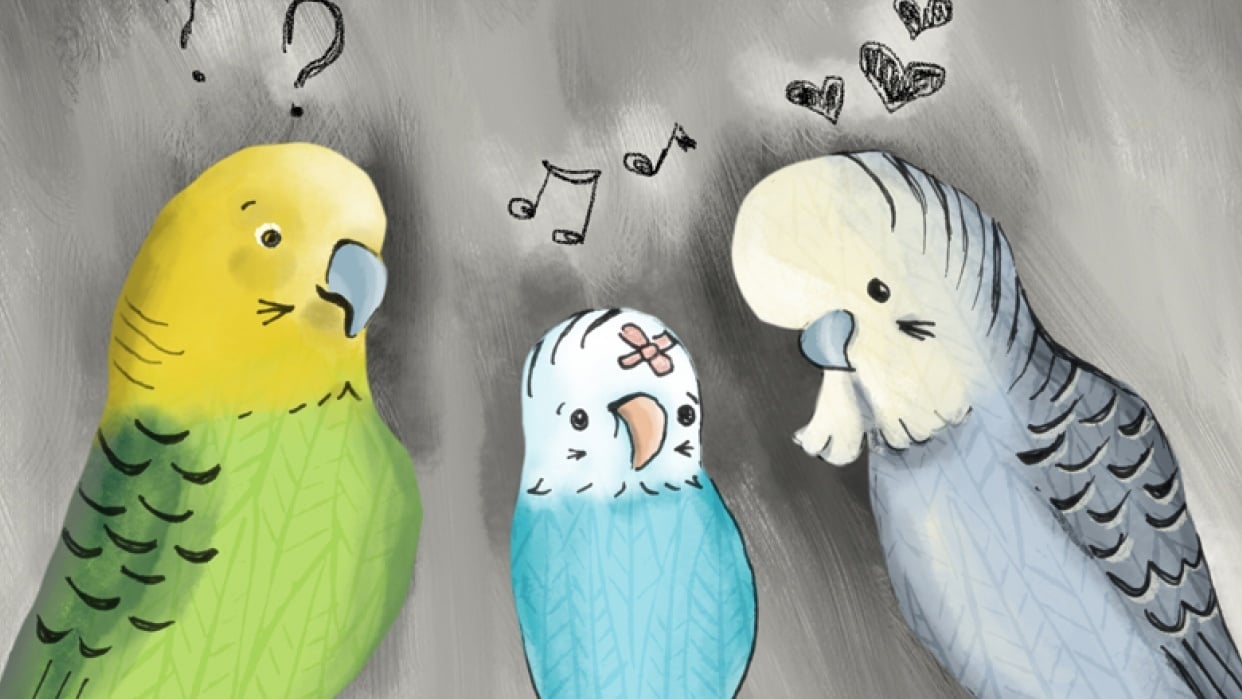 The Three Amigos | Skillshare Student Project