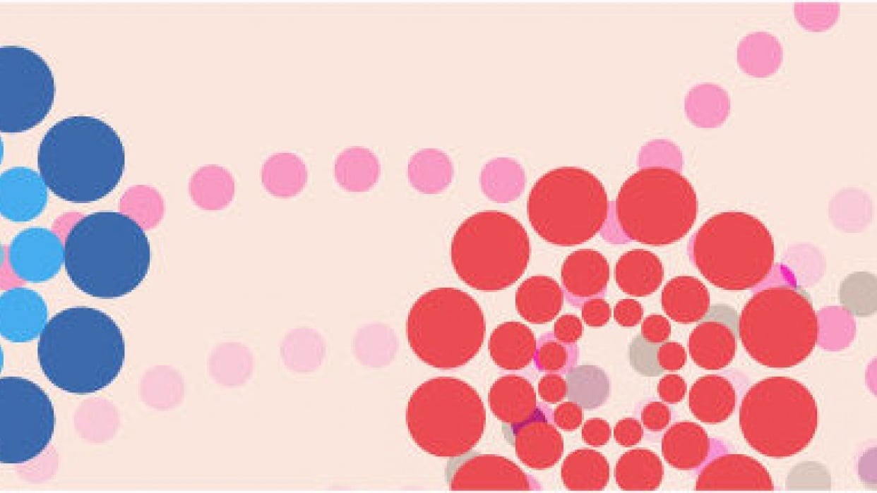 Circles Skillshare Student Project