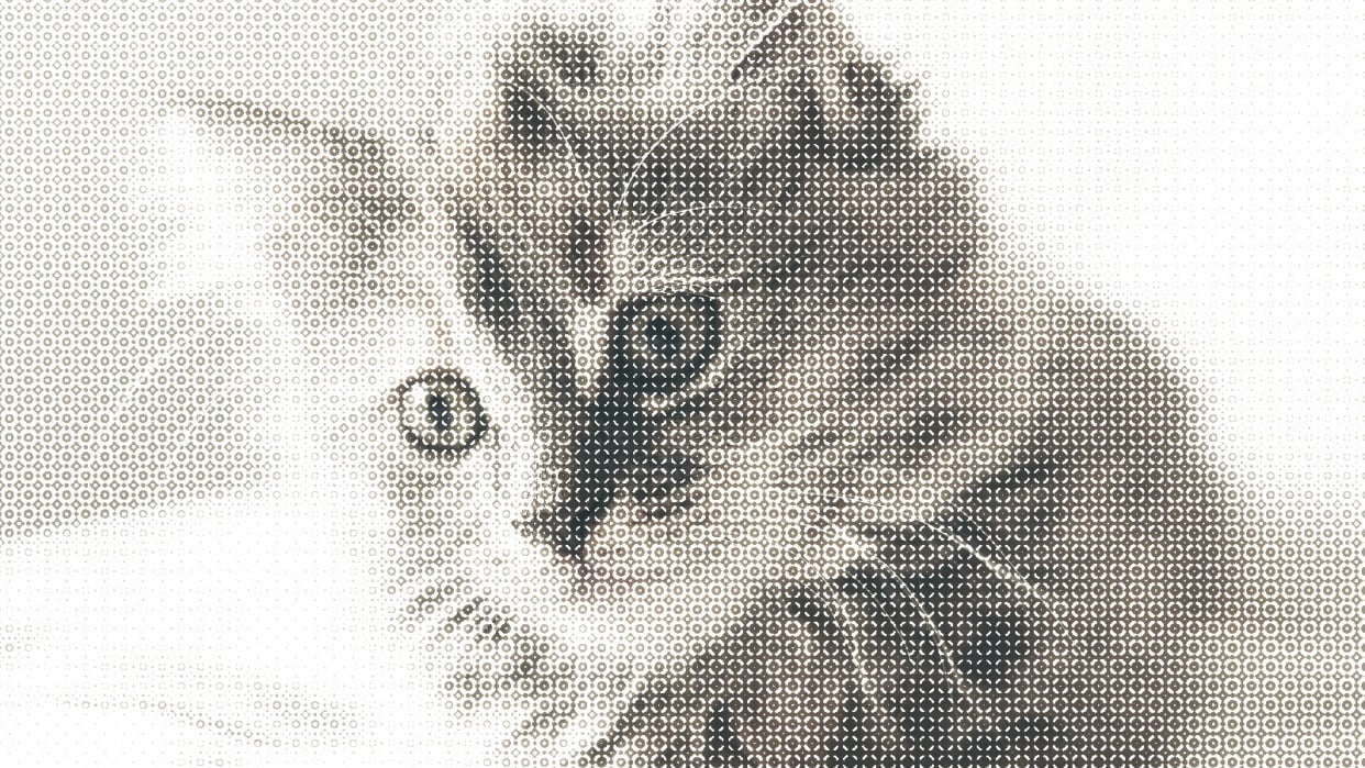 Halftone Cat | Skillshare Student Project