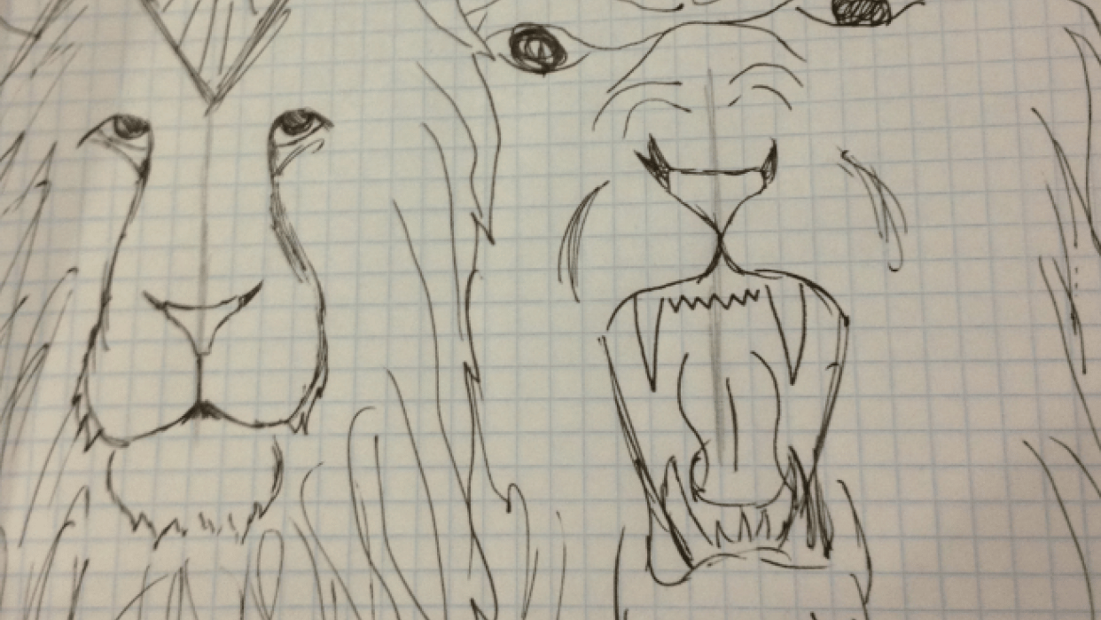 Quiet Lion, Loud Lion | Skillshare Student Project