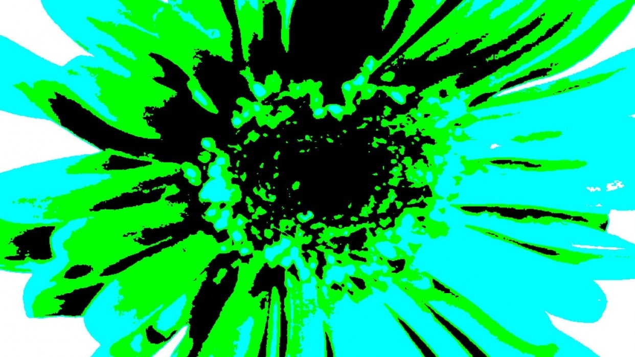 Daisy | Skillshare Student Project