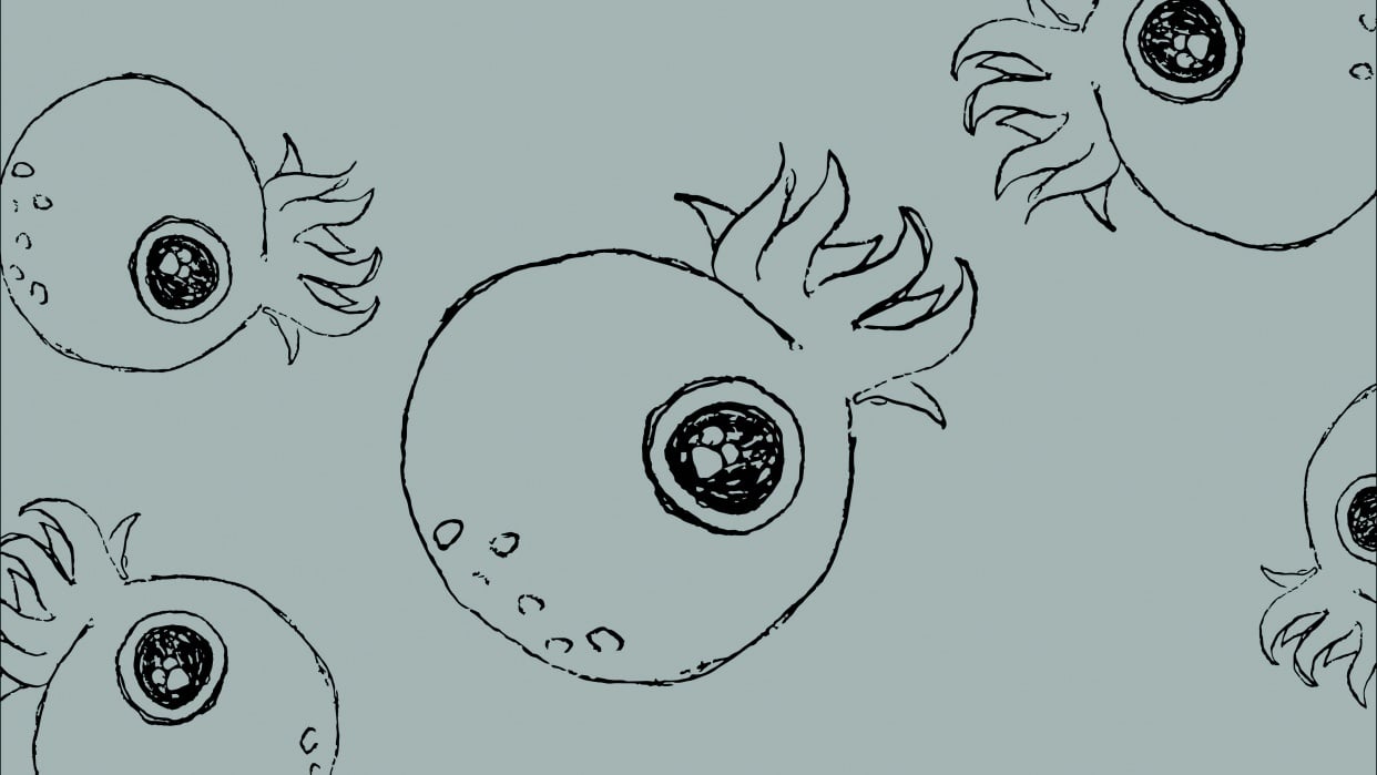 Tiny octopus pattern | Skillshare Student Project