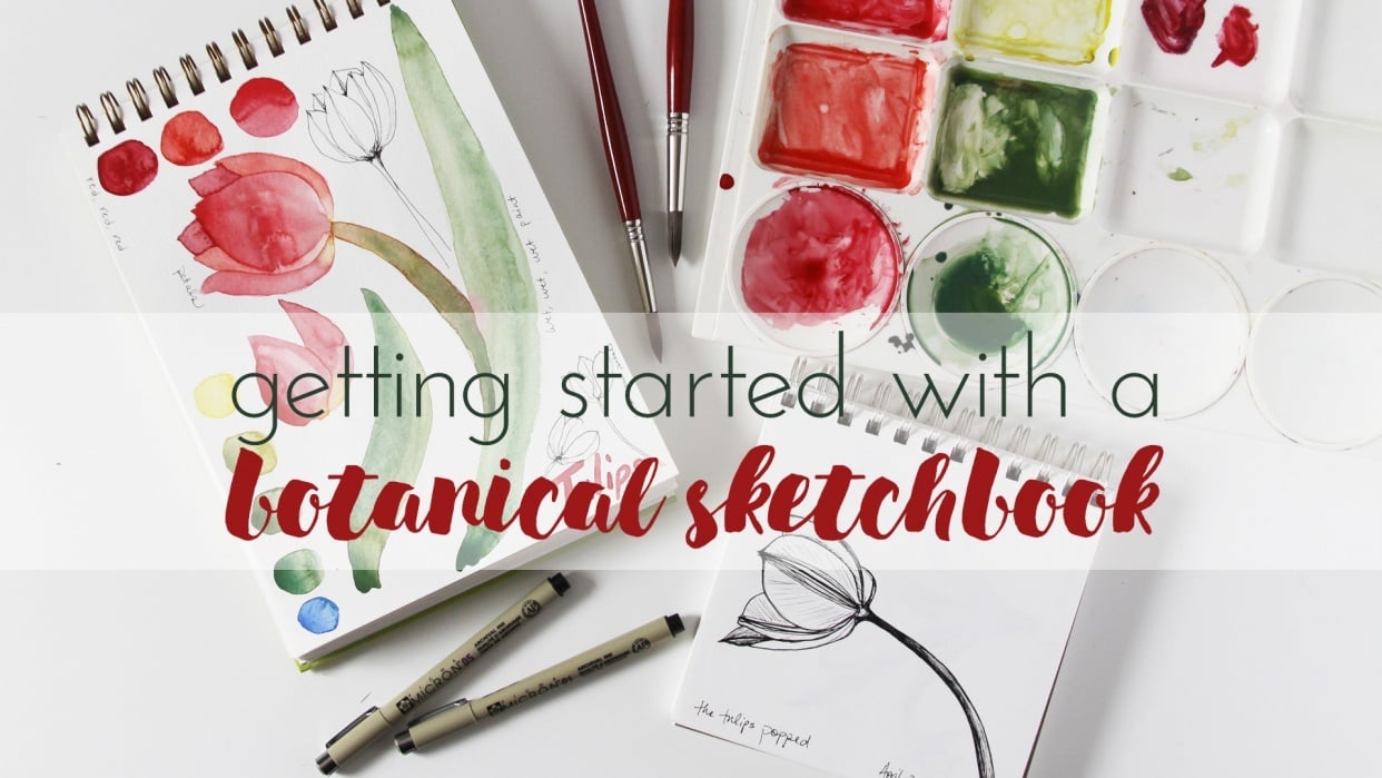 My First Skillshare Class: Getting Started with a Botanical Sketchbook | Skillshare Student Project