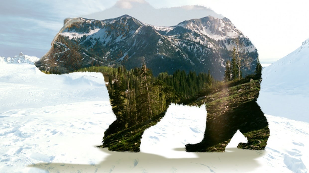 Bear in mountains | Skillshare Student Project