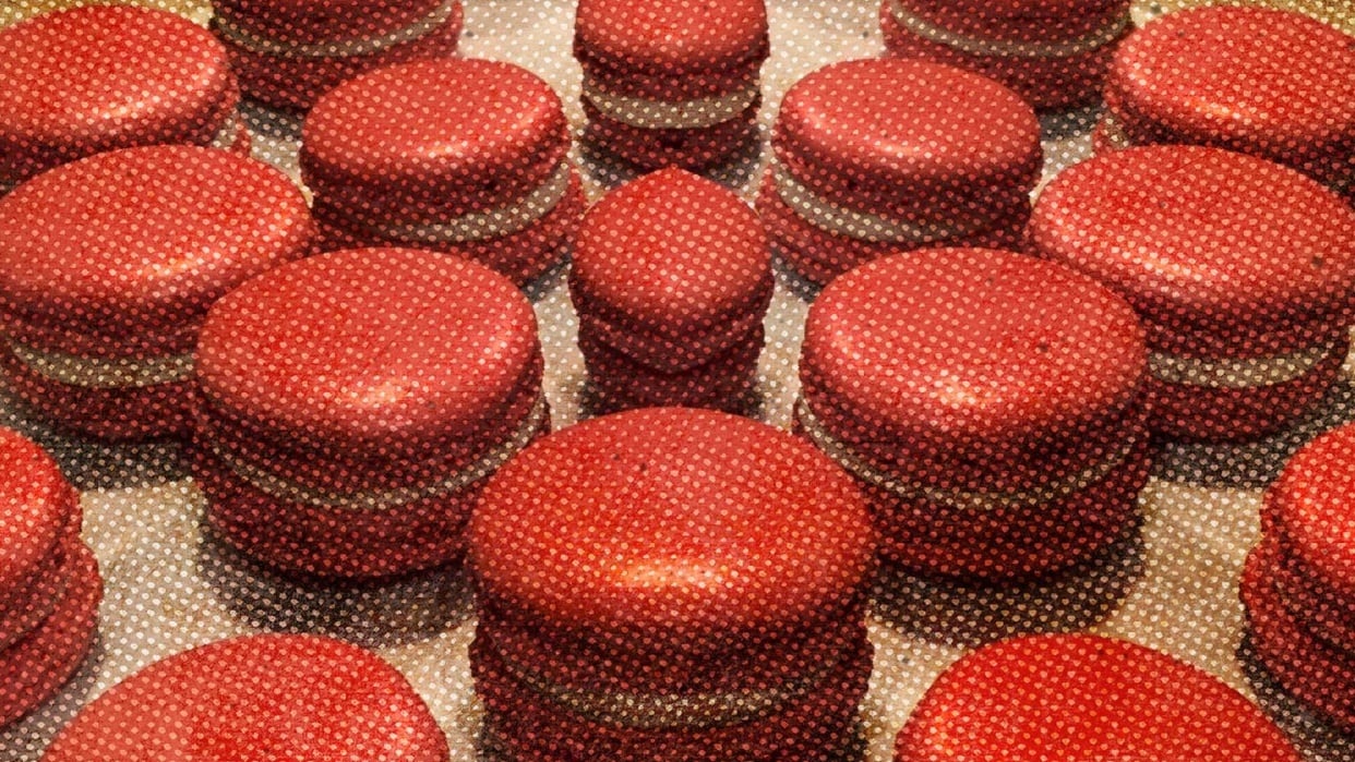 Macarons for the Ages | Skillshare Student Project