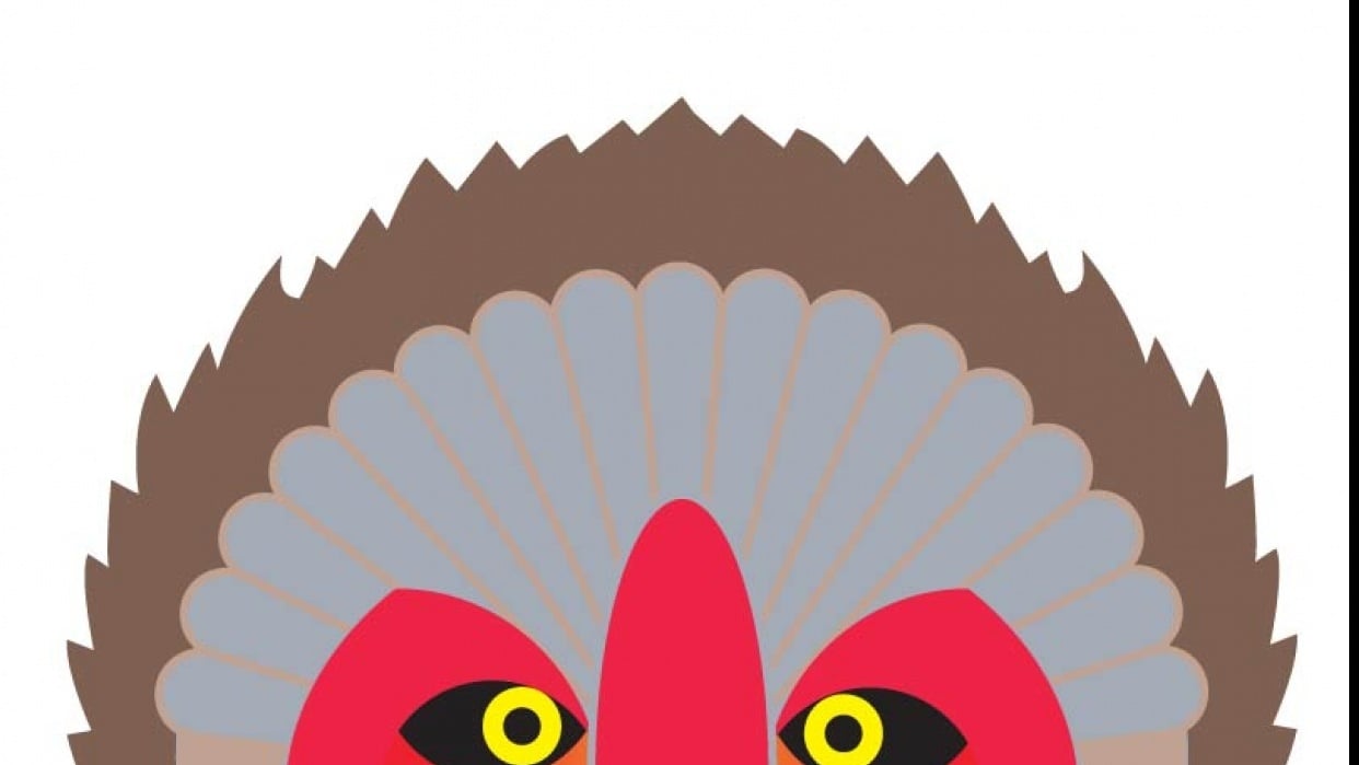 Japanese Red Face Monkey | Skillshare Student Project