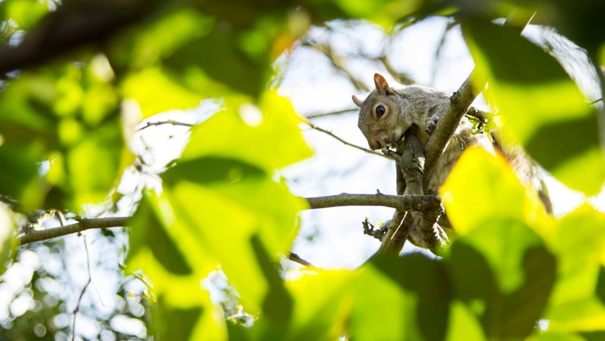 Sample project | Skillshare Student Project