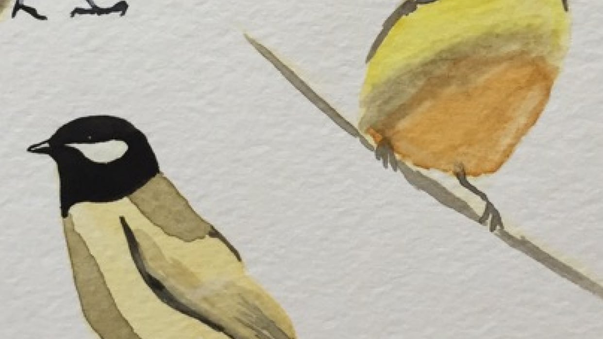 My Sketchbook | Skillshare Student Project