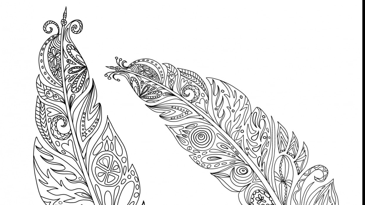 Feathers for coloring book challenge | Skillshare Student Project