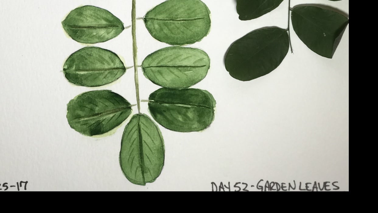 Leaves from my garden... | Skillshare Student Project