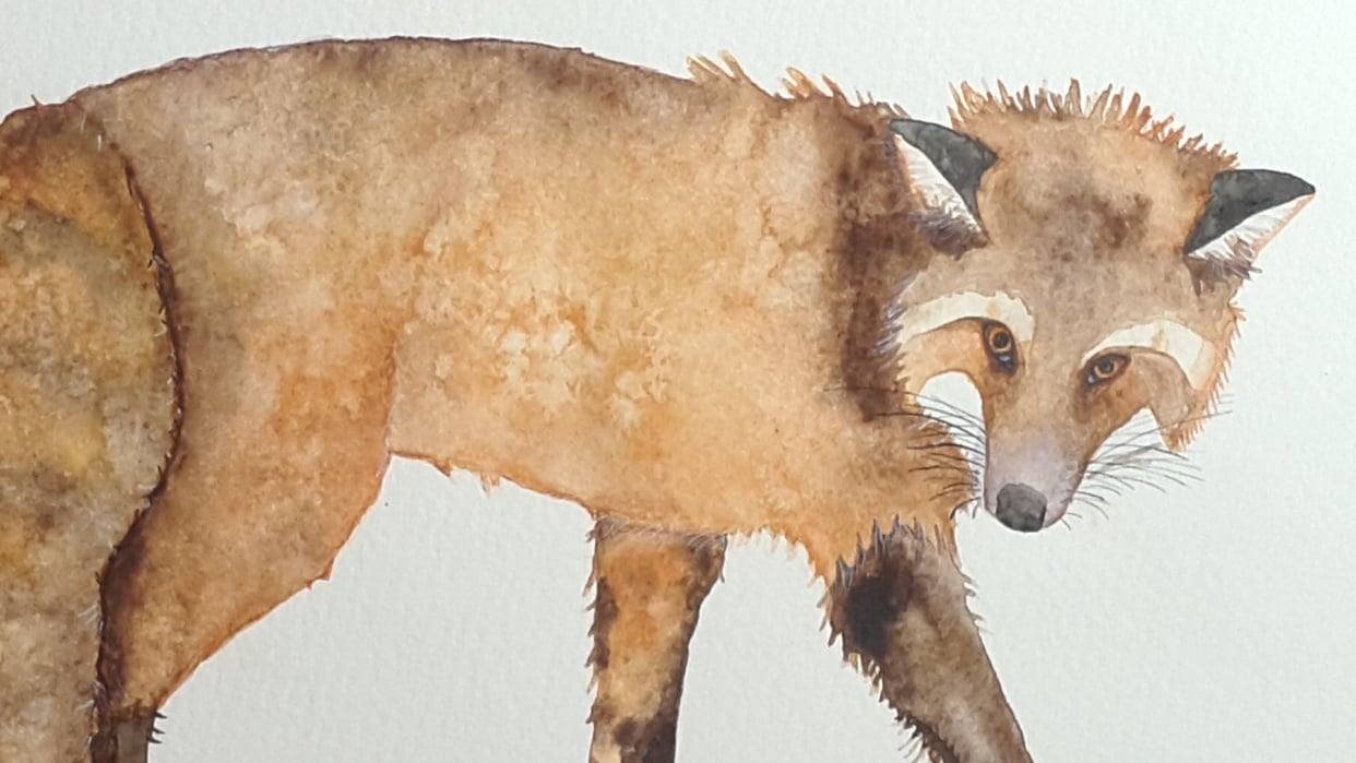 My watercolor fox | Skillshare Student Project