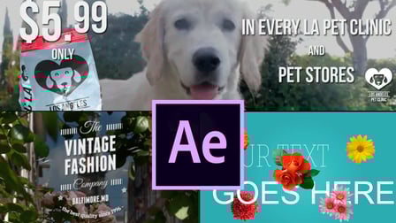 E-Mail-Marketing. Kampagnen, Flows, Segmente, ESPs. Der ultimative Kurs ...