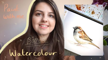 How to Draw Bird Beaks With Pencil | Step-by-Step Guide For Beginners ...