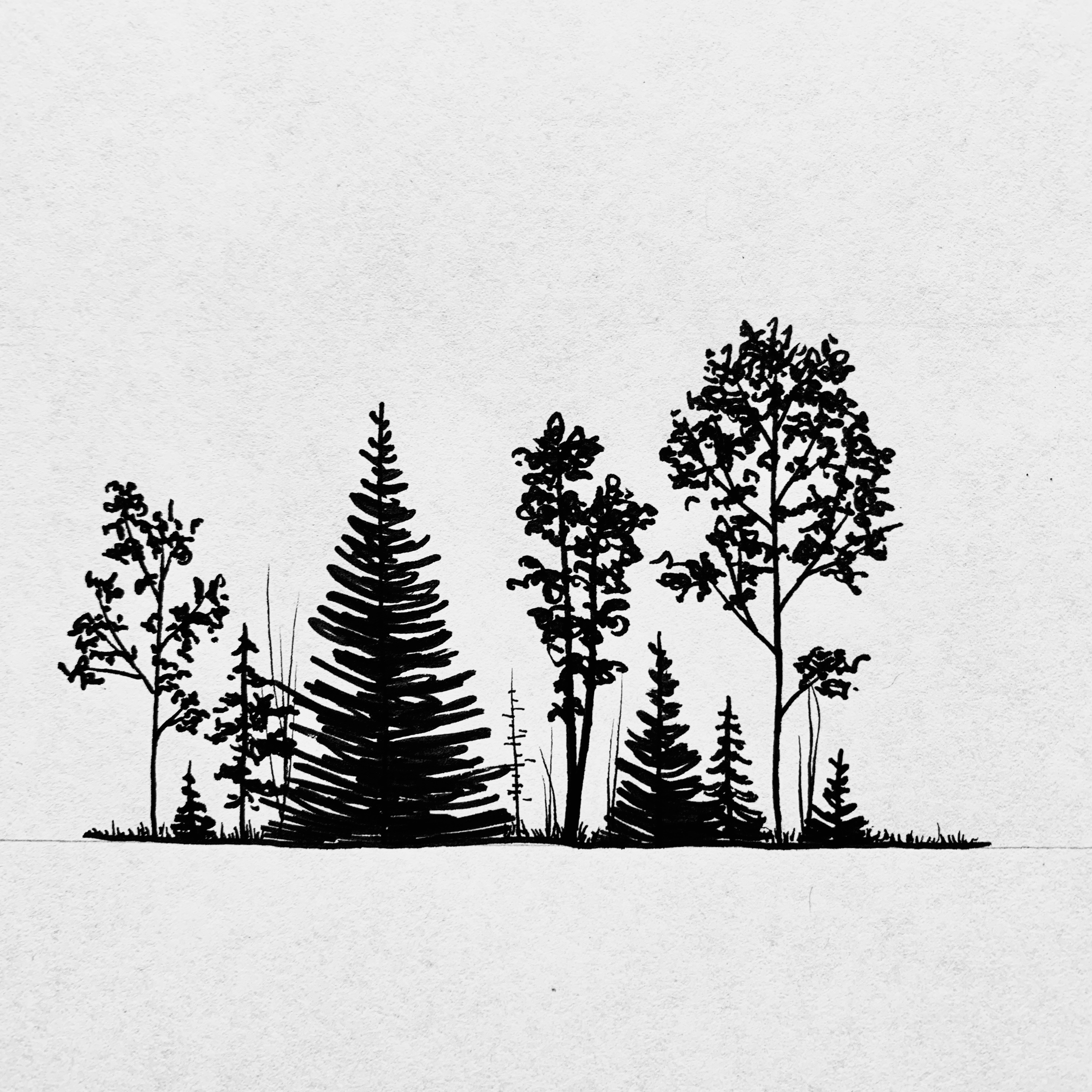 Simple Tree Drawings Step By Step
