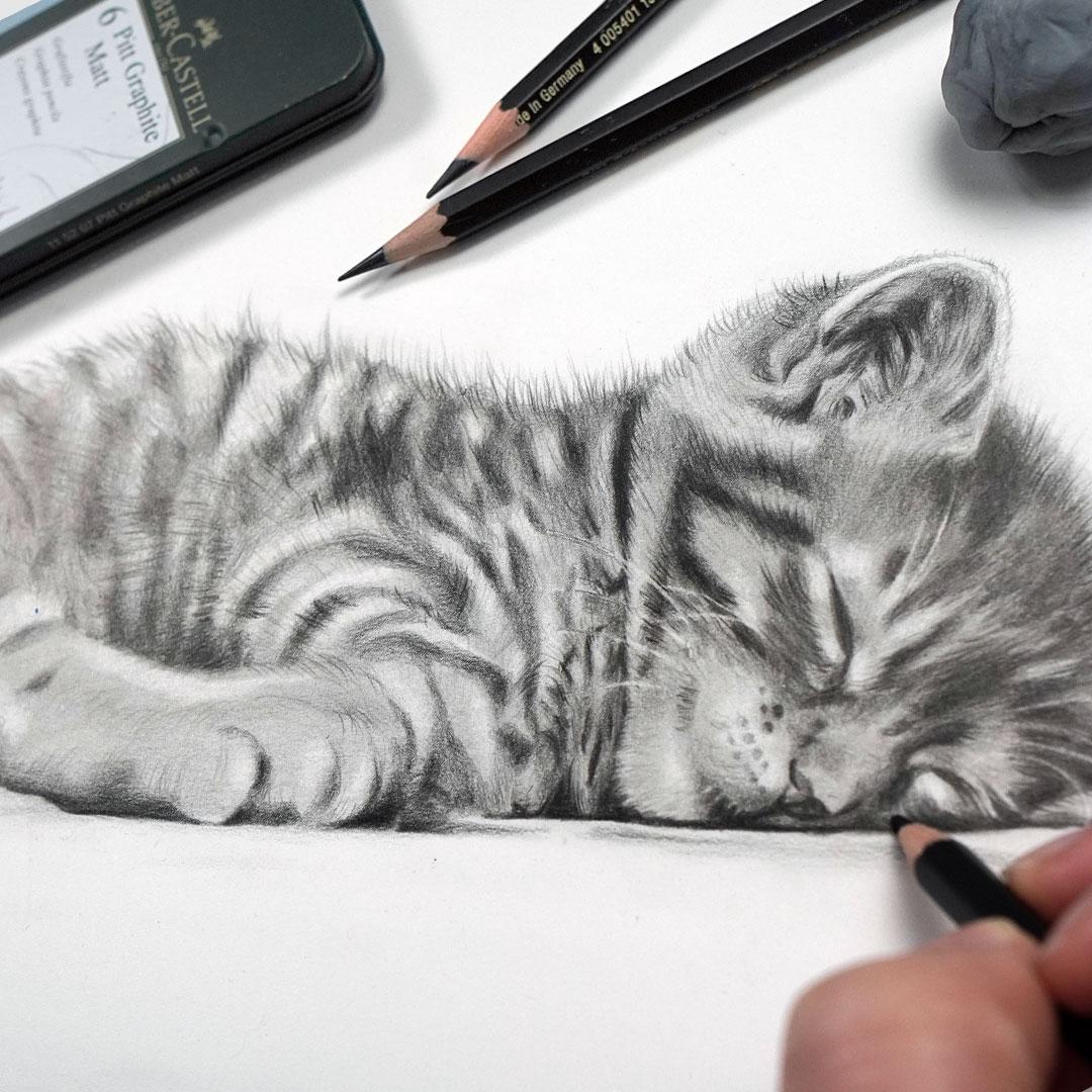 Drawing Animals: How to Draw Realistic Fur with Graphite Pencils ...