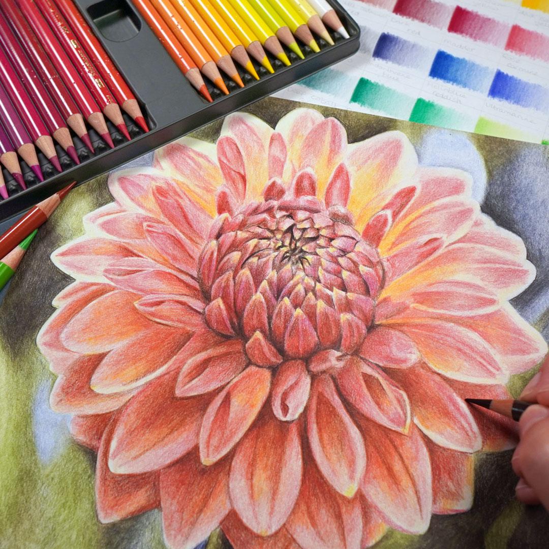 How to Use Solvents with Colored Pencils: Realistic Drawings | Gemma ...