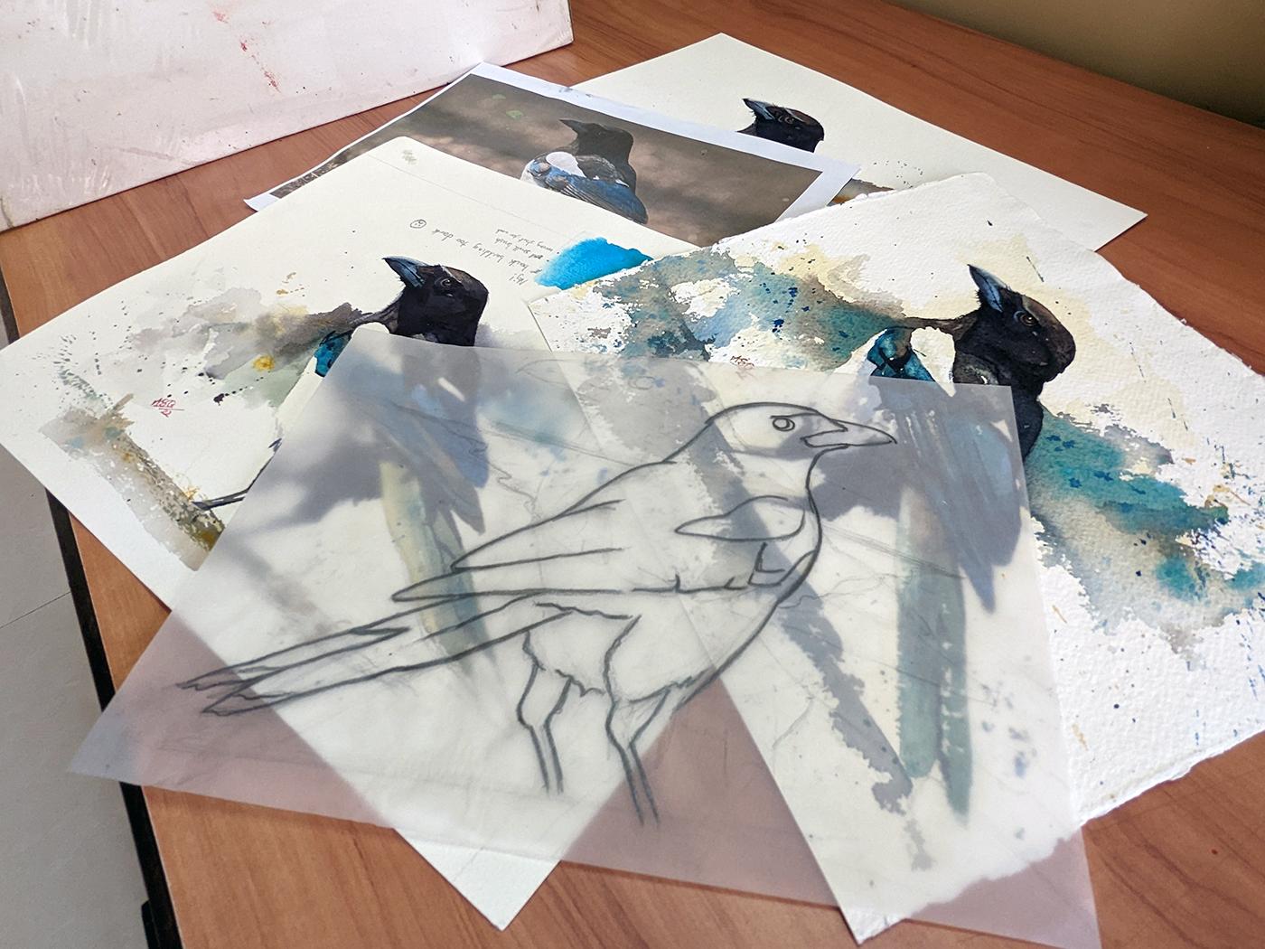 Watercolour Magpie | How to Paint a Bird in Simple and Confident Steps ...