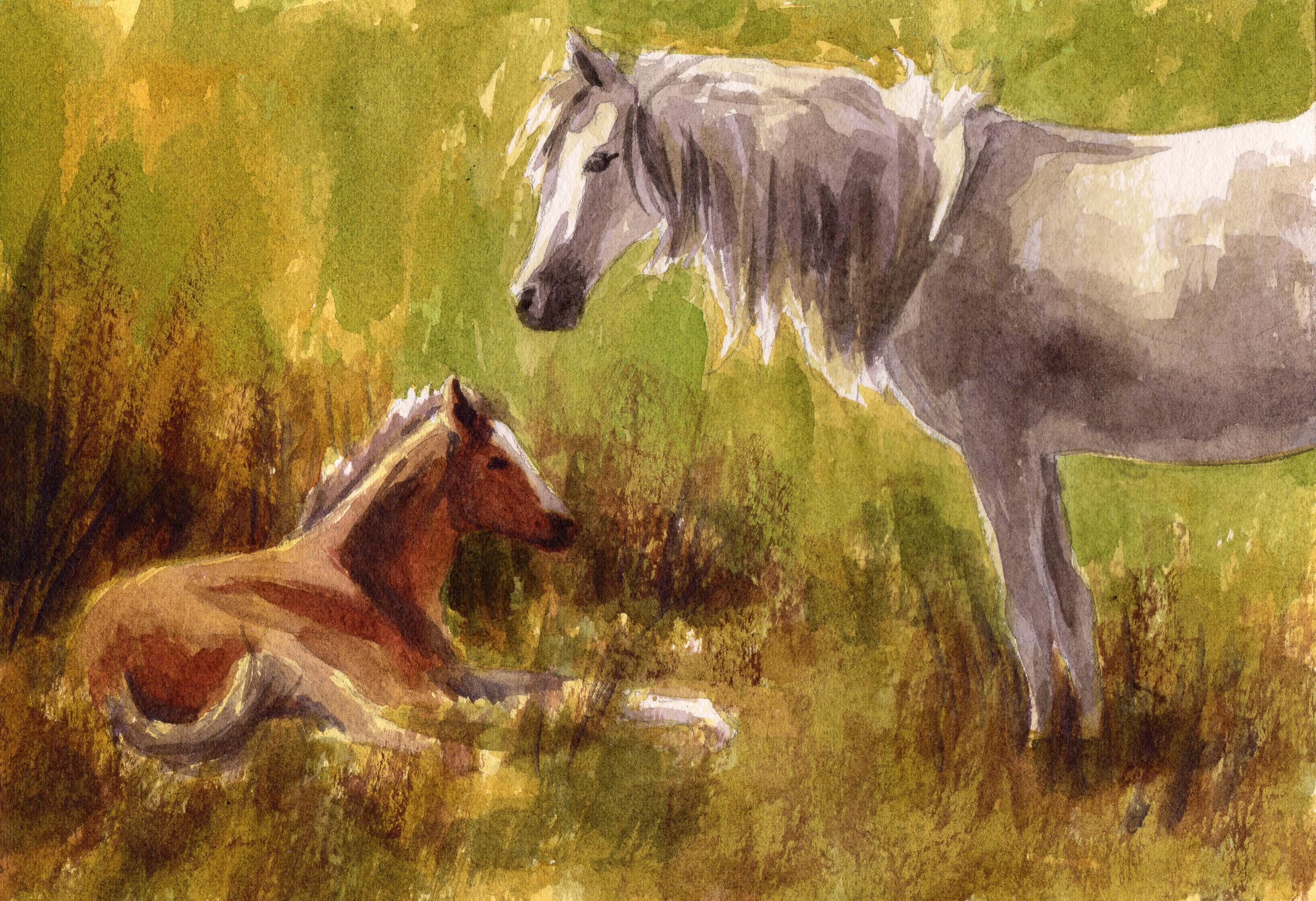 Animal Portraits in Watercolor | Rachael Broadwell | Skillshare