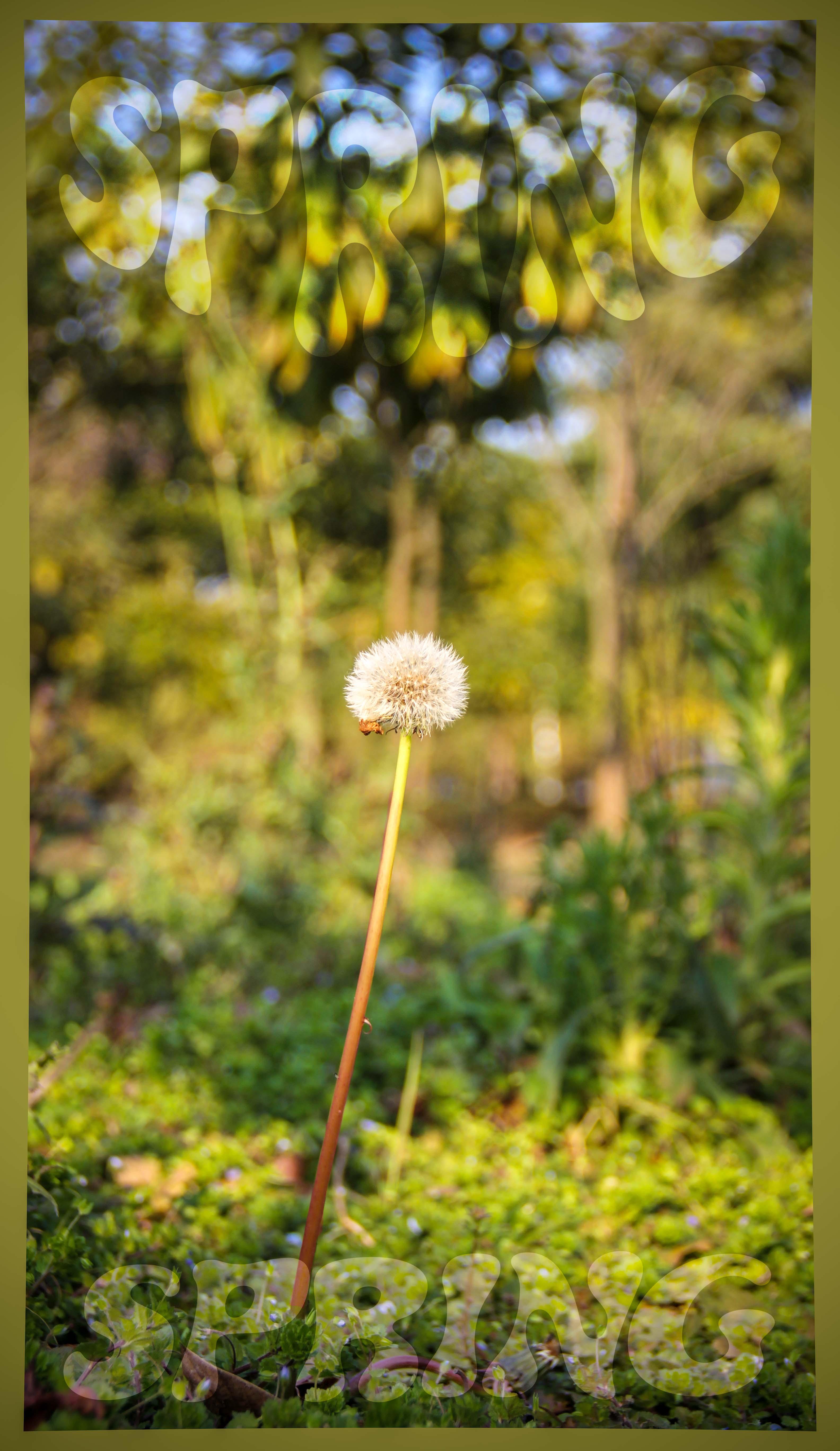 Your First Day Guide To Adobe Photoshop CC Photo Editing Basics In 