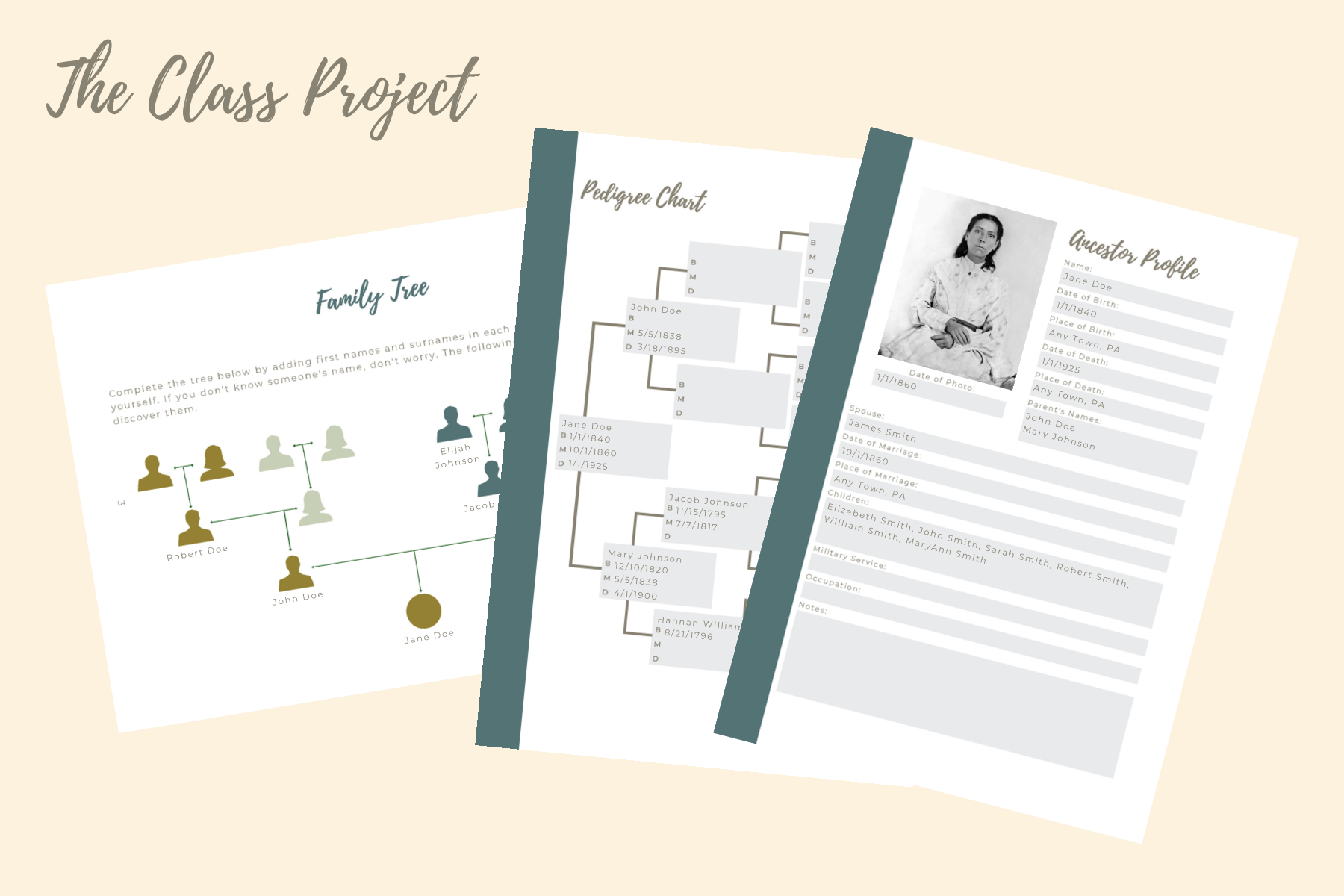Quick And Easy Genealogy For Beginners | Melissa Oyler | Skillshare