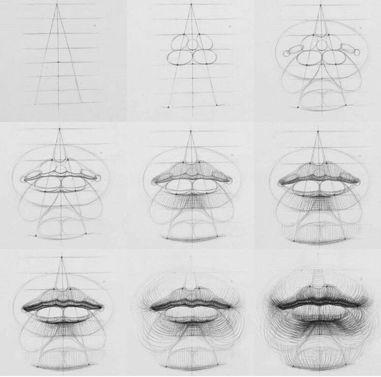 Lips Fundamental Structure Study. Russian Academic Drawing Scheme ...