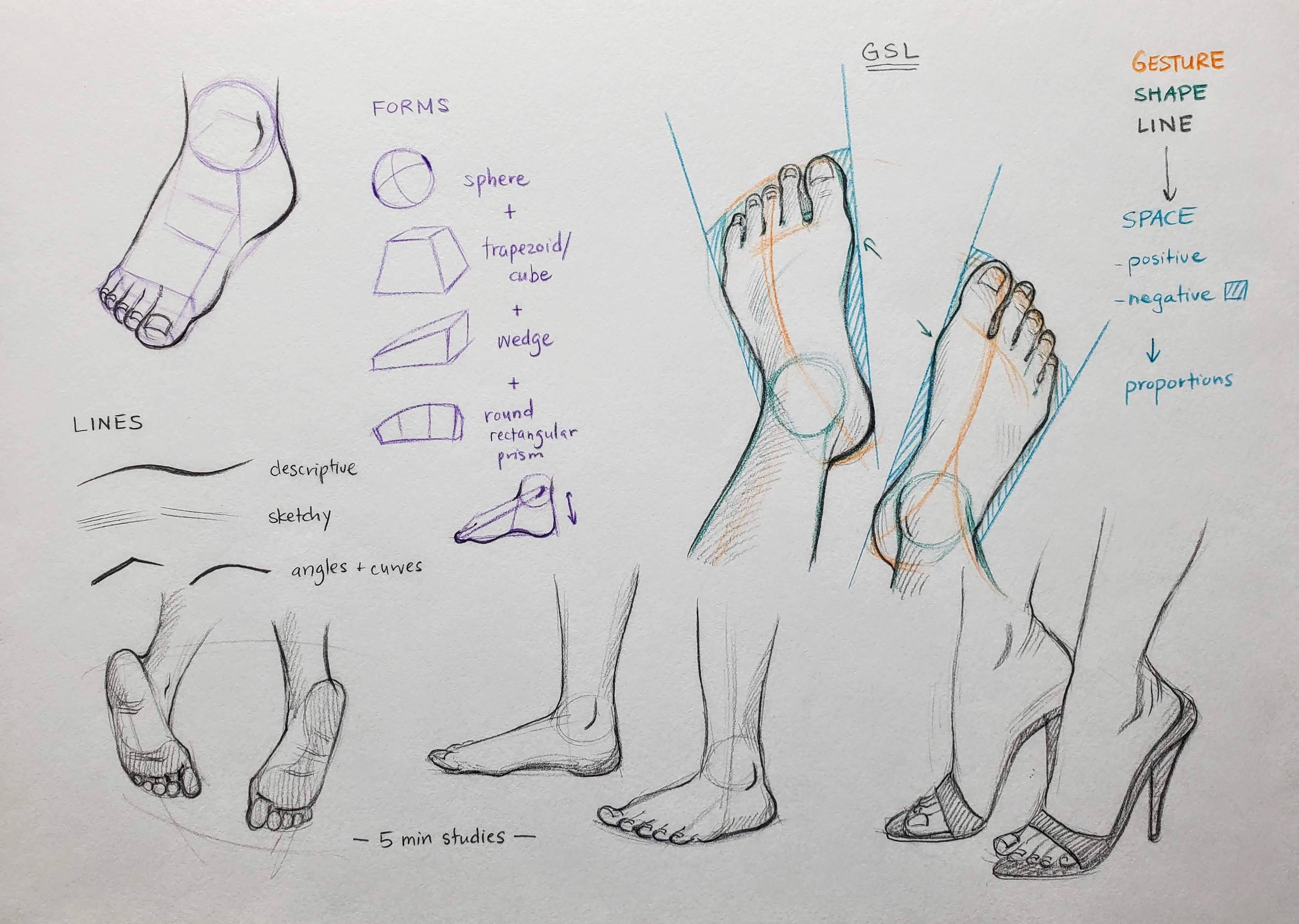 FEET In Figure Drawing Mastering Foot Proportions Anatomy Winged FEET In Figure Drawing Mastering Foot Proportions Anatomy Winged