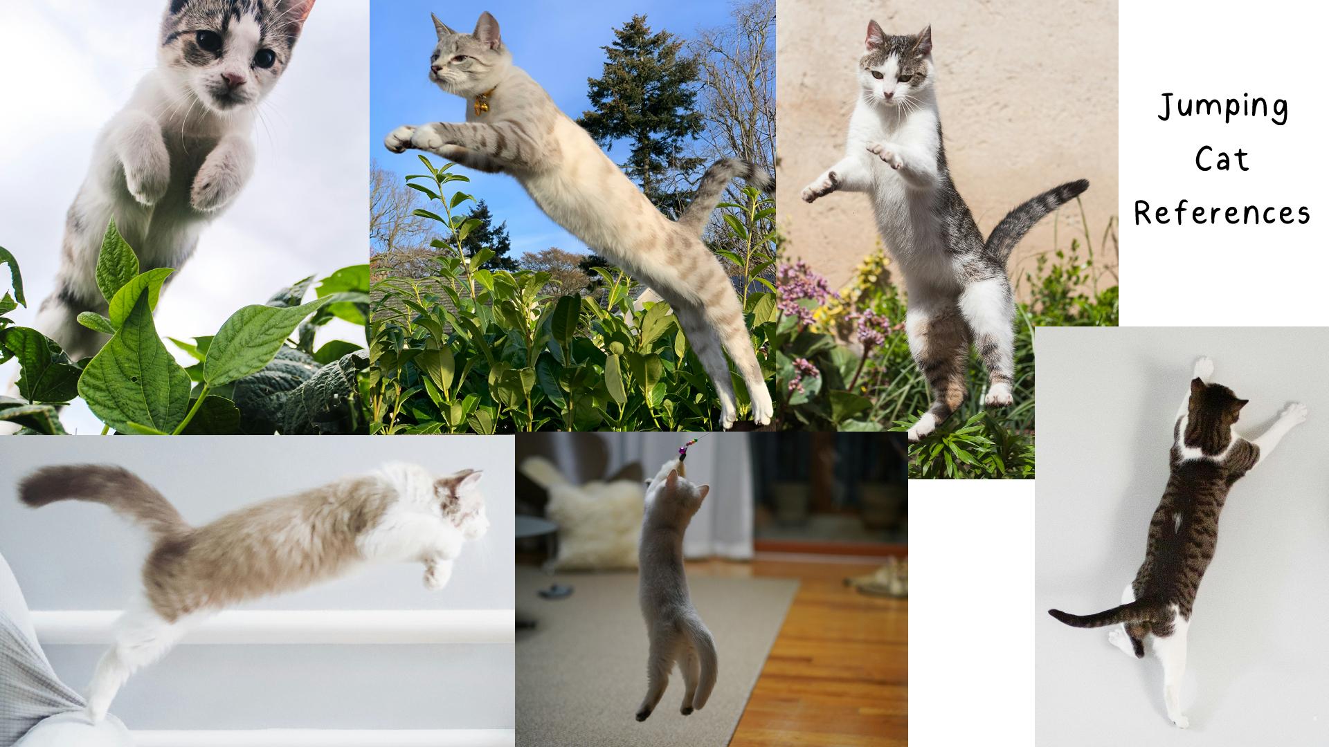 Drawing Jumping Cats: Easy Step-by-Step Guide for Beginners | Patricia ...
