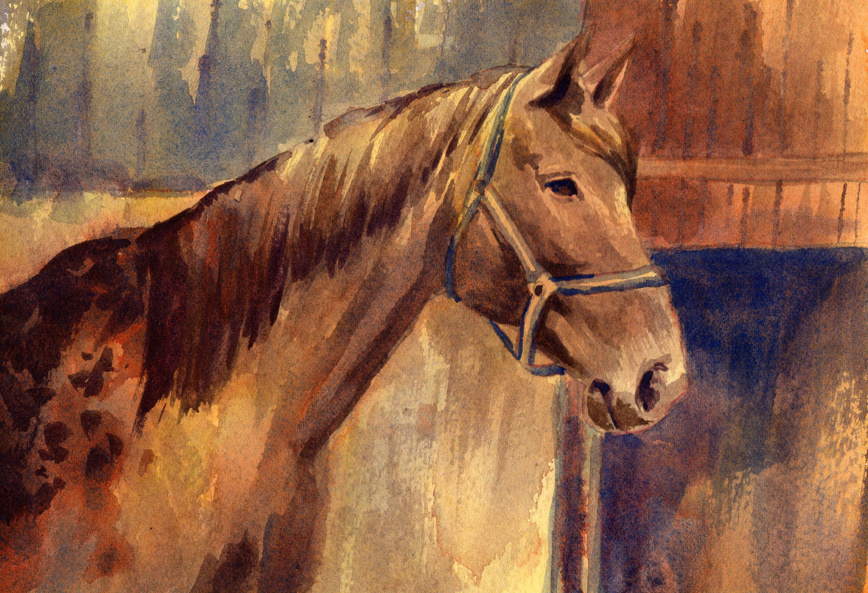 Animal Portraits in Watercolor | Rachael Broadwell | Skillshare