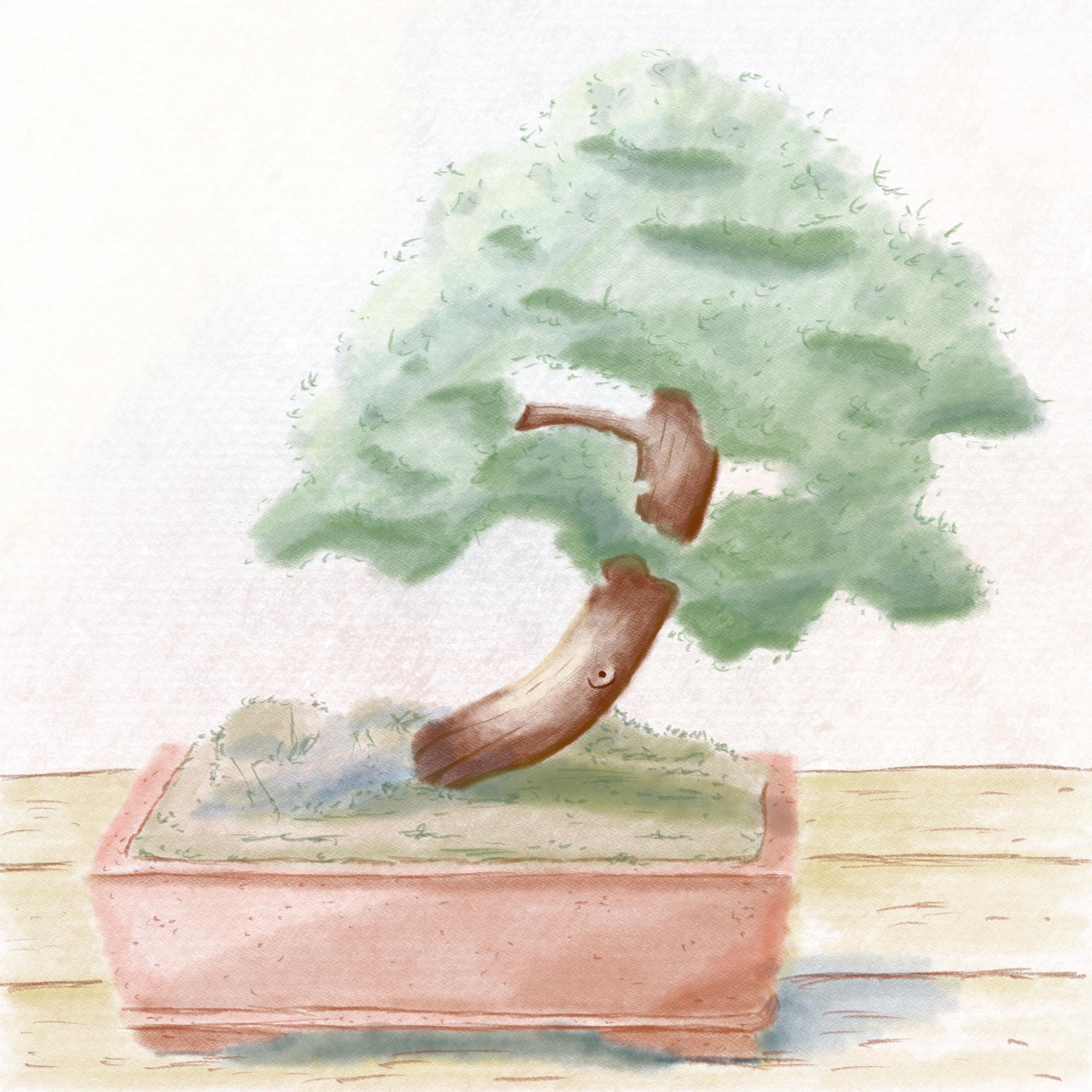 Techniques to add color to your uncolored Artworks in Procreate ...