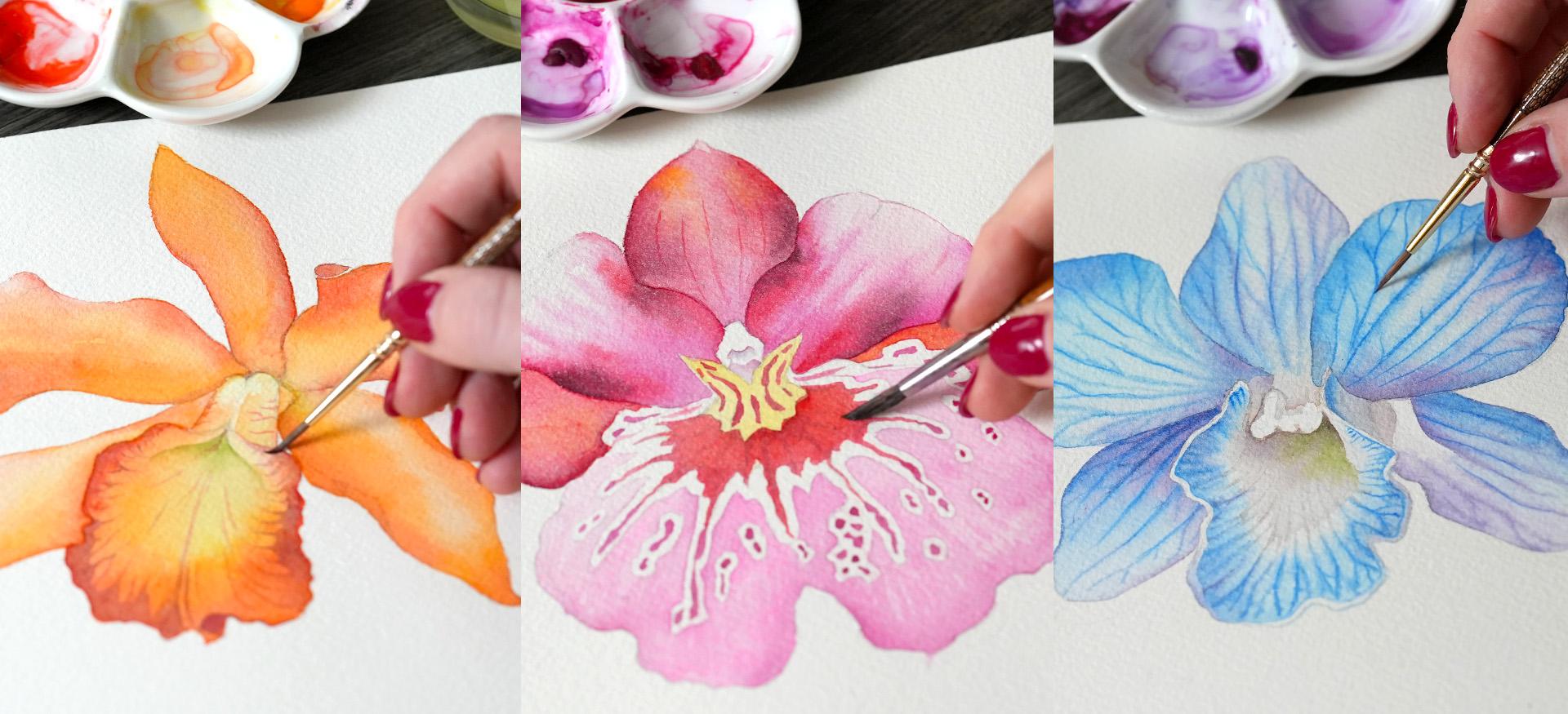 Watercolor Orchids: Beginner to Advanced Techniques | Anna Bucciarelli ...