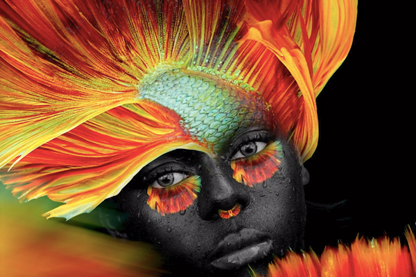 Create a Striking Poster With Color and Collage - Skillshare