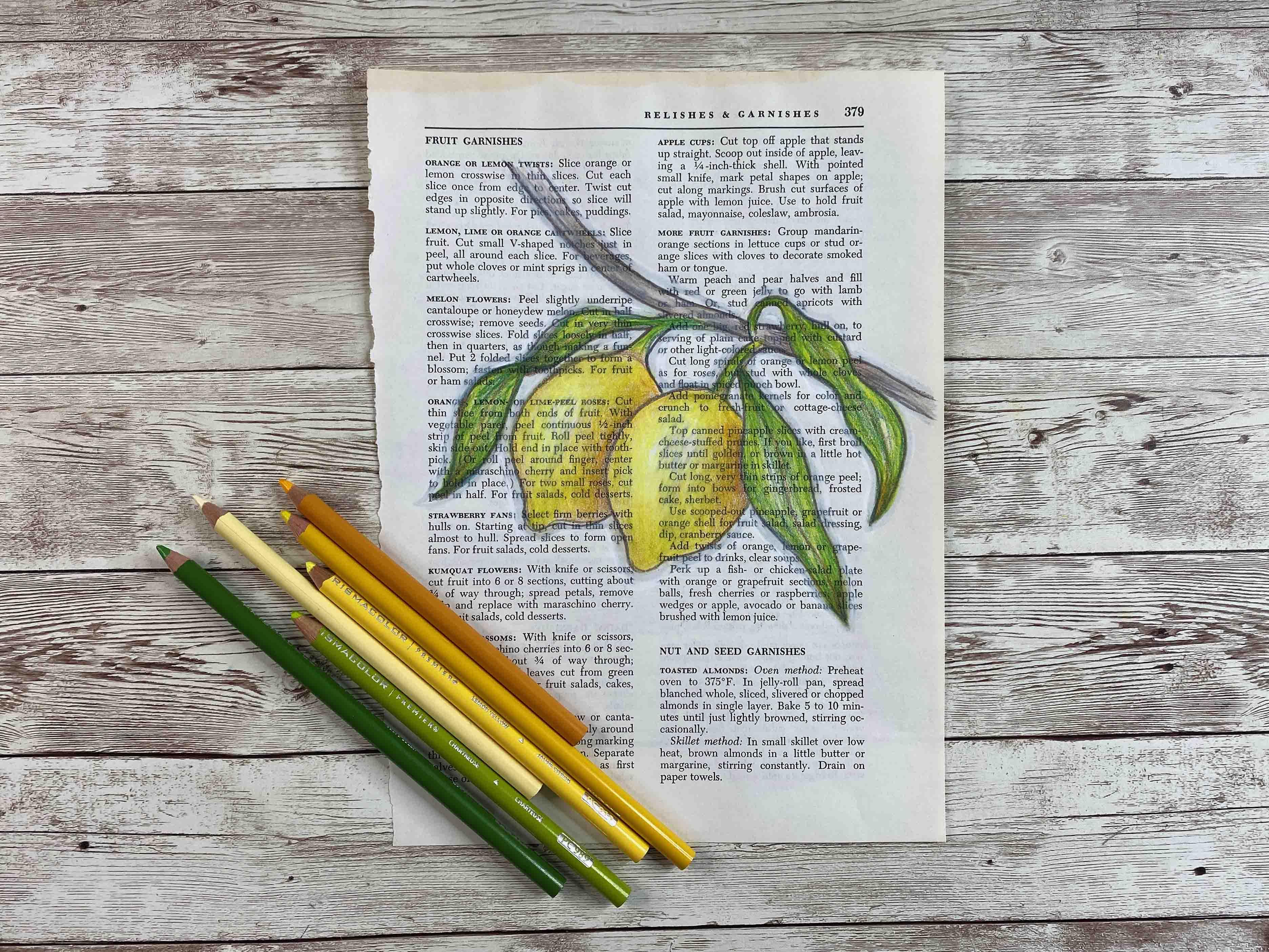 Colored Pencil Lemon: A Multi-Medium Study, Class #2 of 3 | Daniela ...