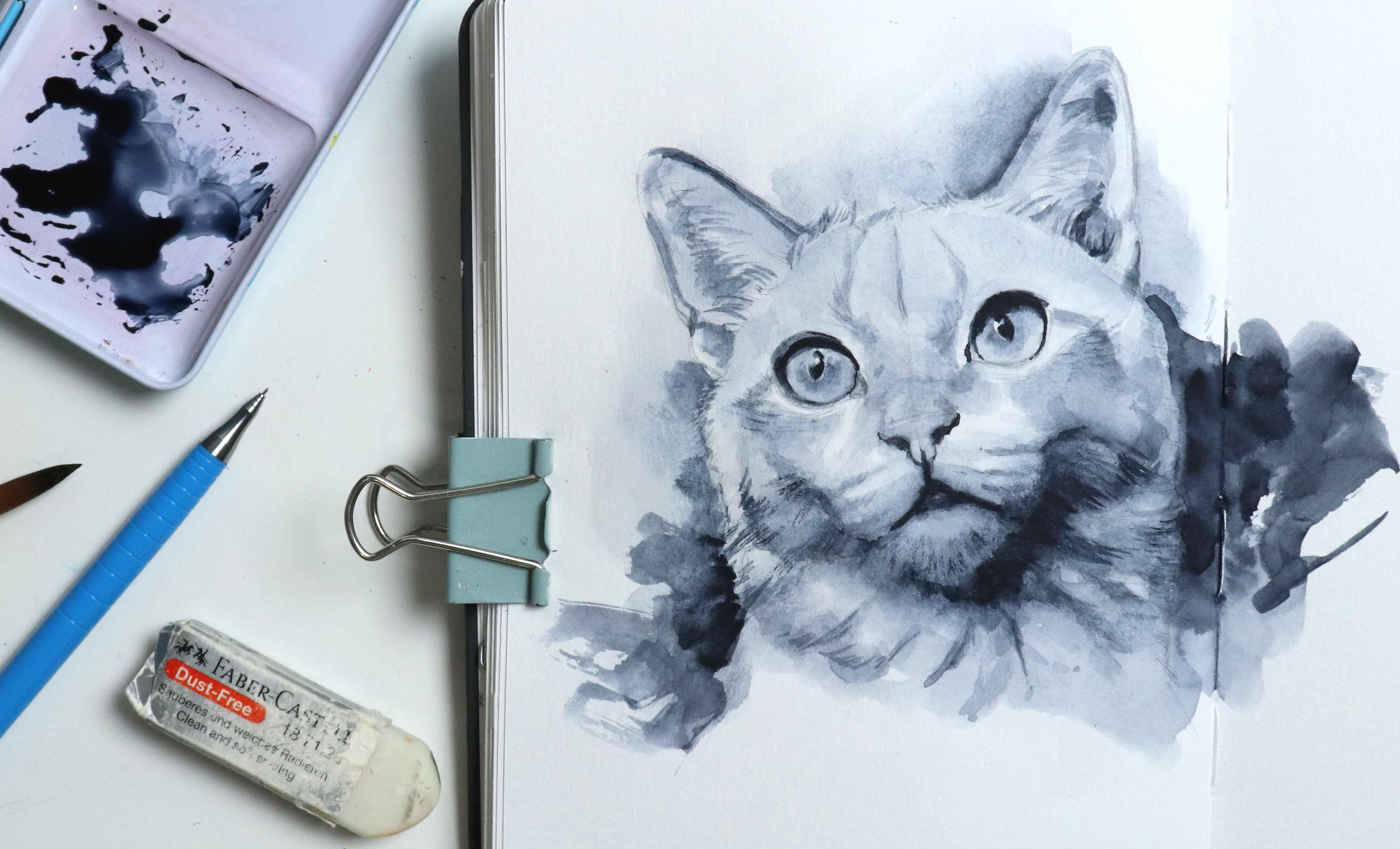 Sketching Animal Portraits: Breaking Down References & Proportions ...