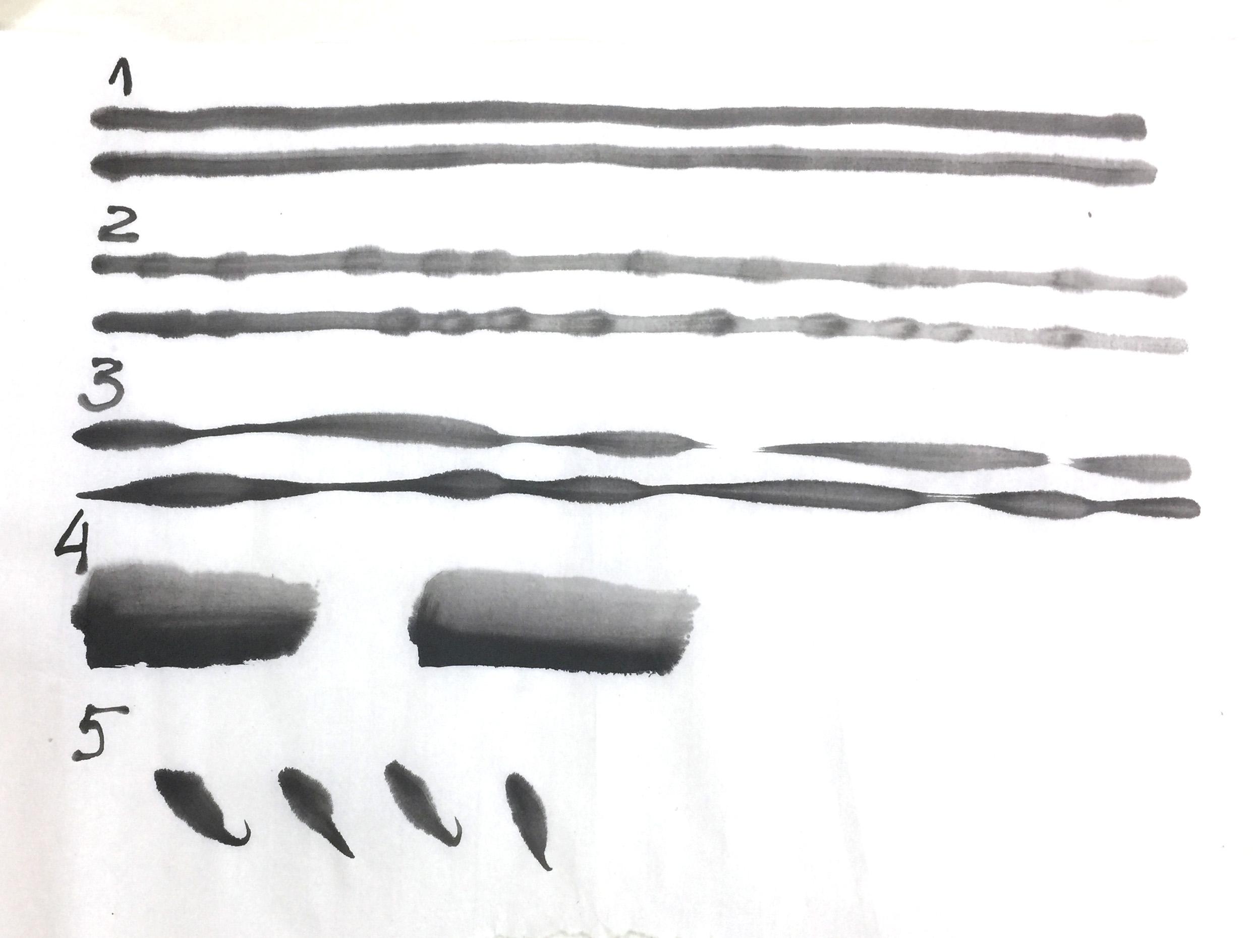 Basic techniques and strokes in Chinese painting by Olga | Olga ...