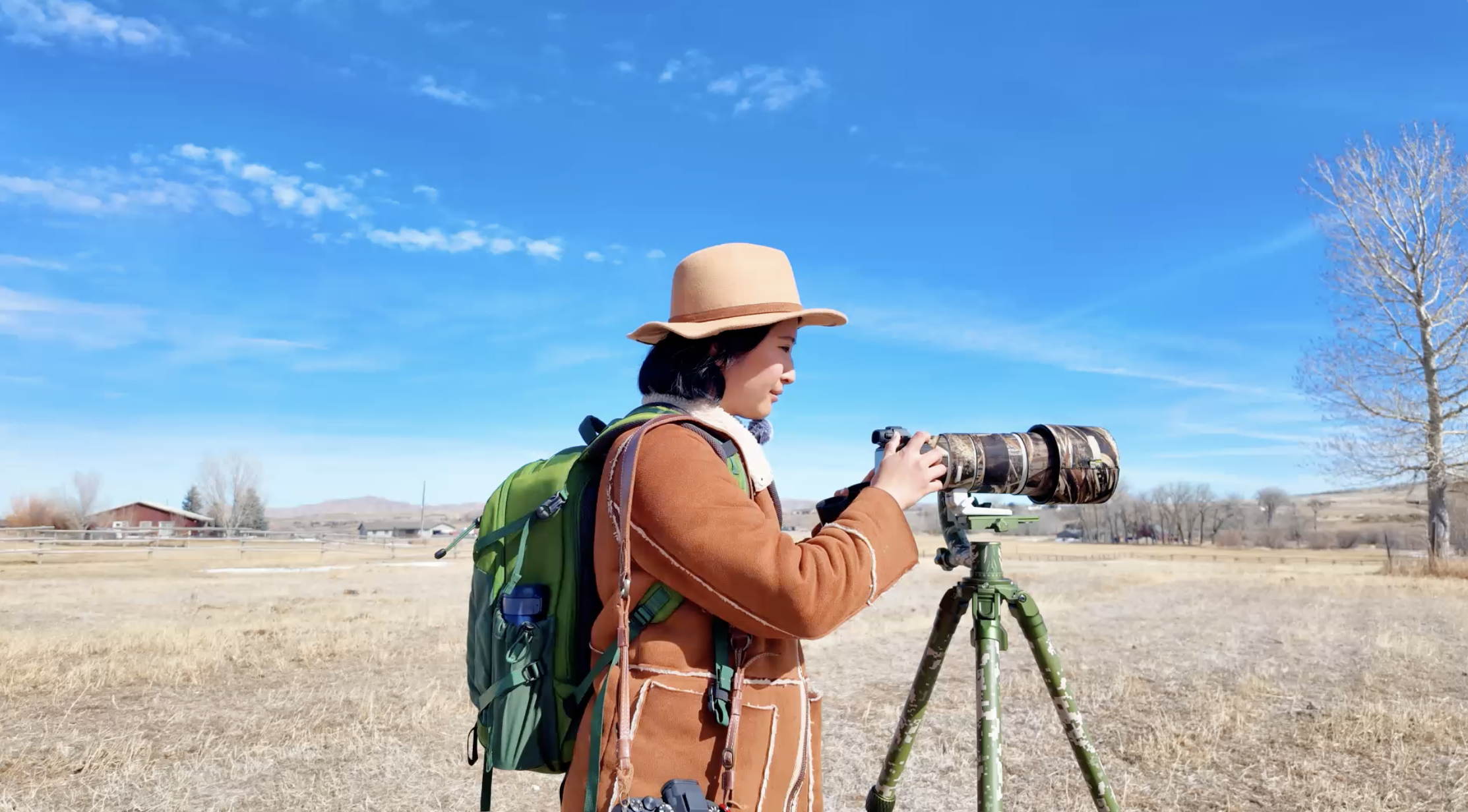 Wildlife Nature Journaling: Drawing Animals from Observation | Amy Wang ...